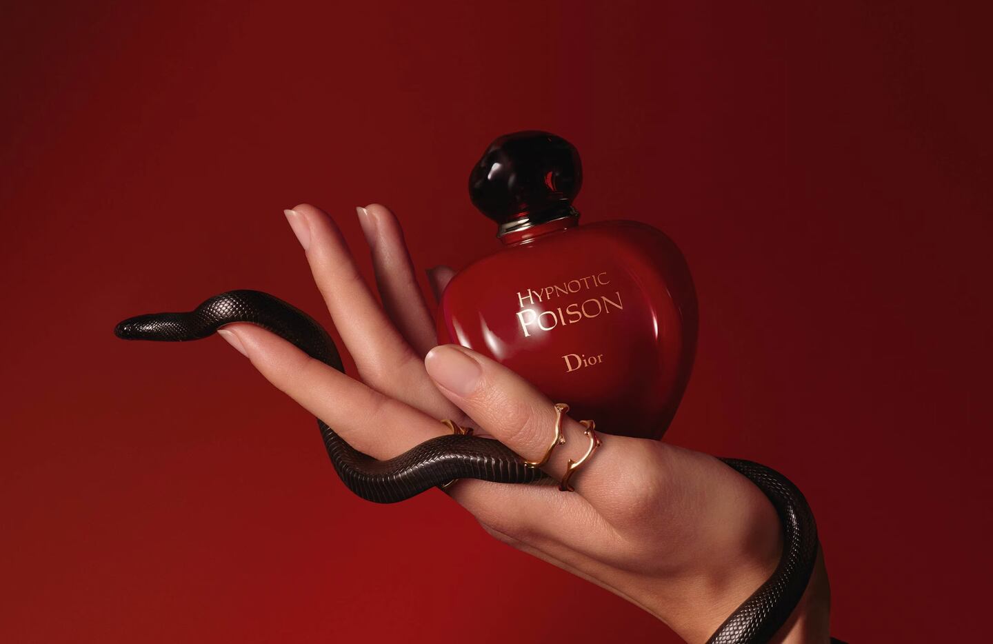 Perfumes de mujer: los más elegantes y sensuales – Sagrosso